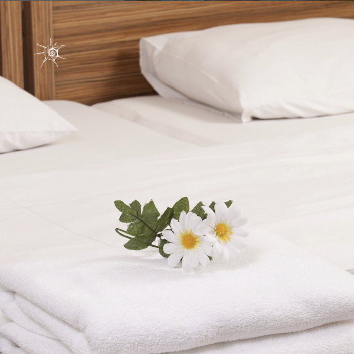 Home | Starshell Hotel